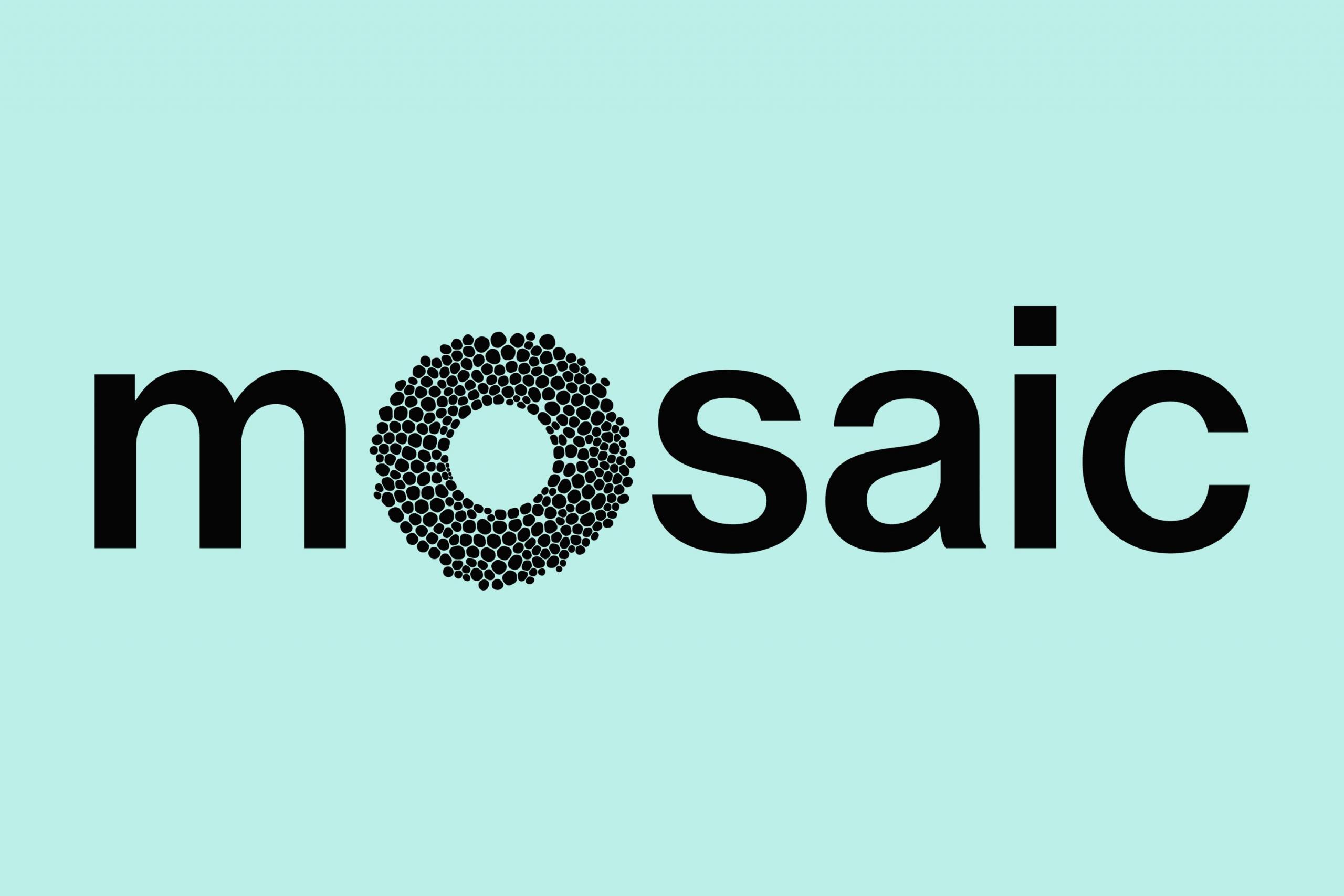 Mosaic - More-than-human sustainable and inclusive smart cities